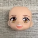 Nendoroid Face Replacement Face More Faces Red Eyes - Etsy