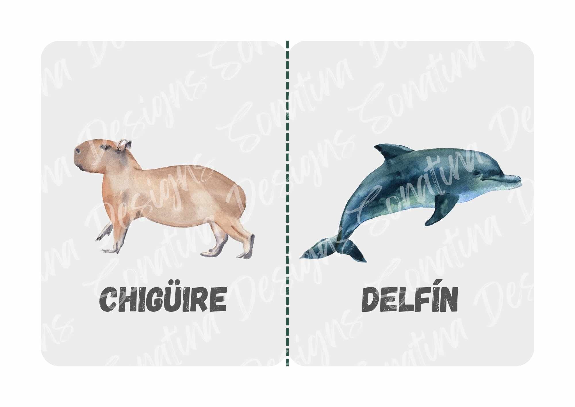 Spanish Flash Cards - Animales - Venezuela - Etsy
