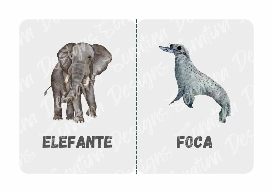 Spanish Flash Cards - Animales - Venezuela - Etsy