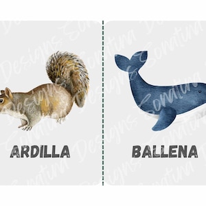Spanish Flash Cards - Animales - Venezuela - Etsy