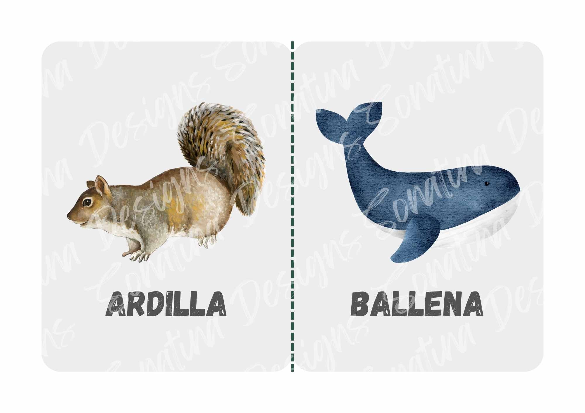 Spanish Flash Cards - Animales - Venezuela - Etsy