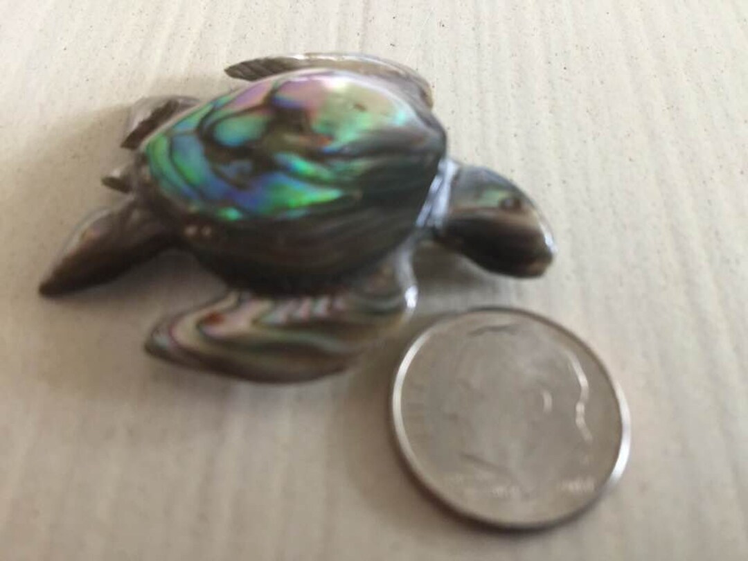 Hand Carved Abalone Shell Turtle With Gold Filled Bale Wearable for ...
