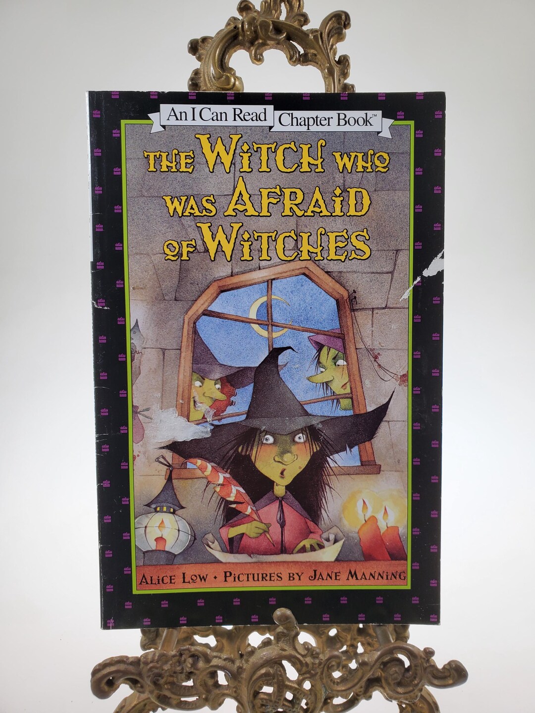 1999 the Witch Who Was Afraid of Witches Softcover Book by Alice Low ...