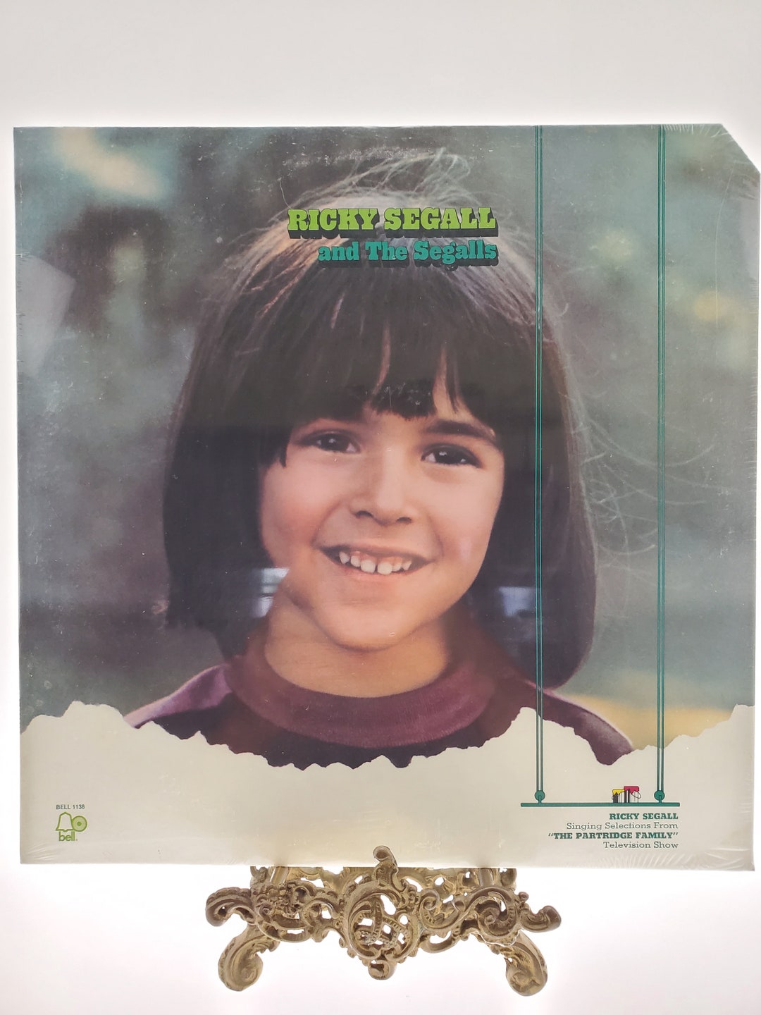 1973 Ricky Segall and the Segalls LP Debut Self Titled Vinyl Record ...