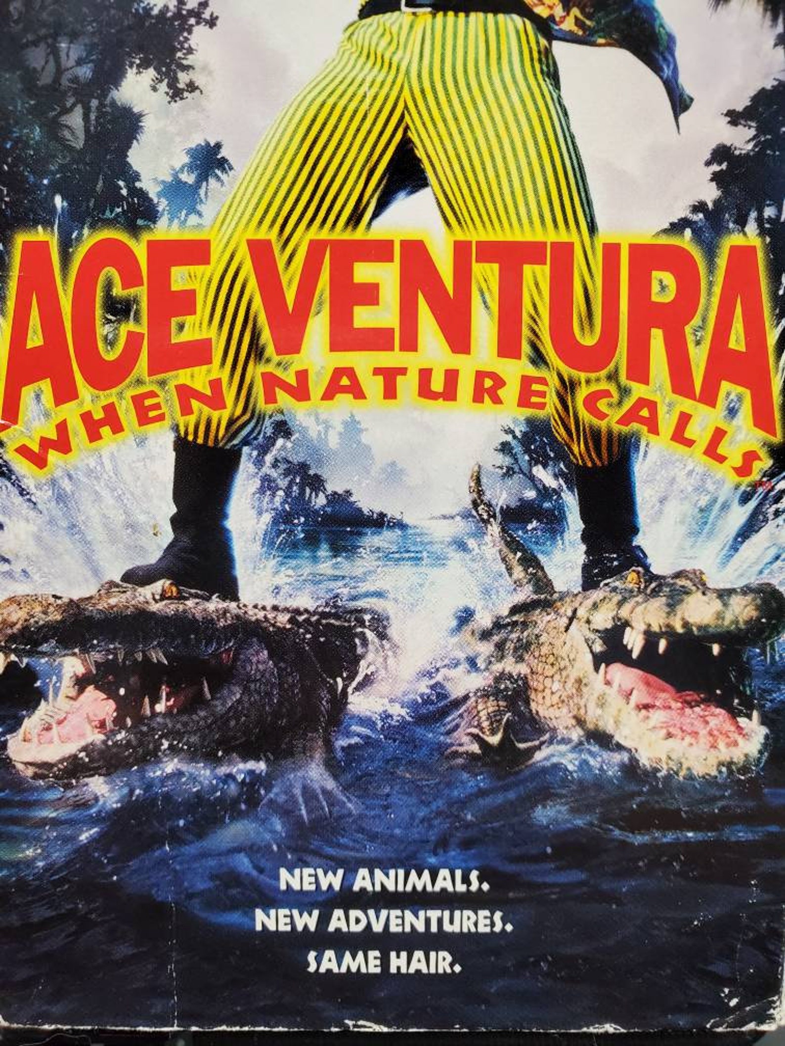 1995 Ace Ventura When Nature Calls Starring Jim Carrey ISBN 0 | Etsy