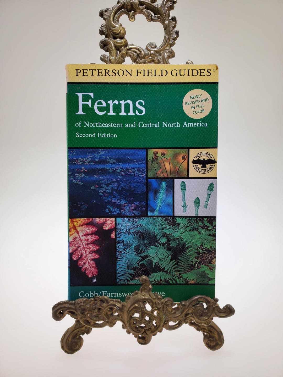 2005 Ferns of Northwestern and Central North America Second Edition ...