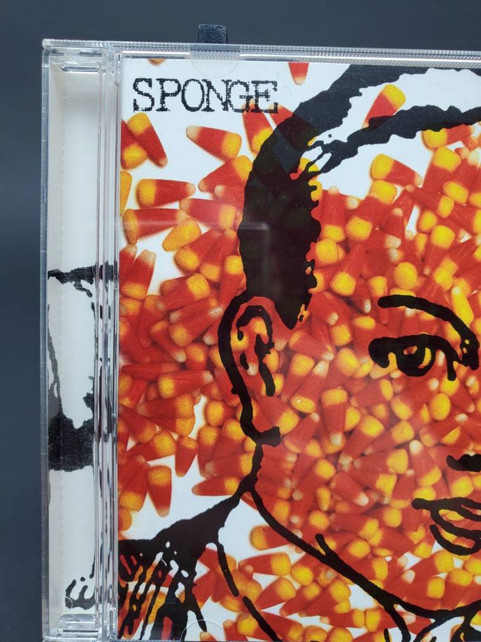 1994 Sponge Rotting Pinata Compact Disc OK 57800 Work CD ISBN | Etsy