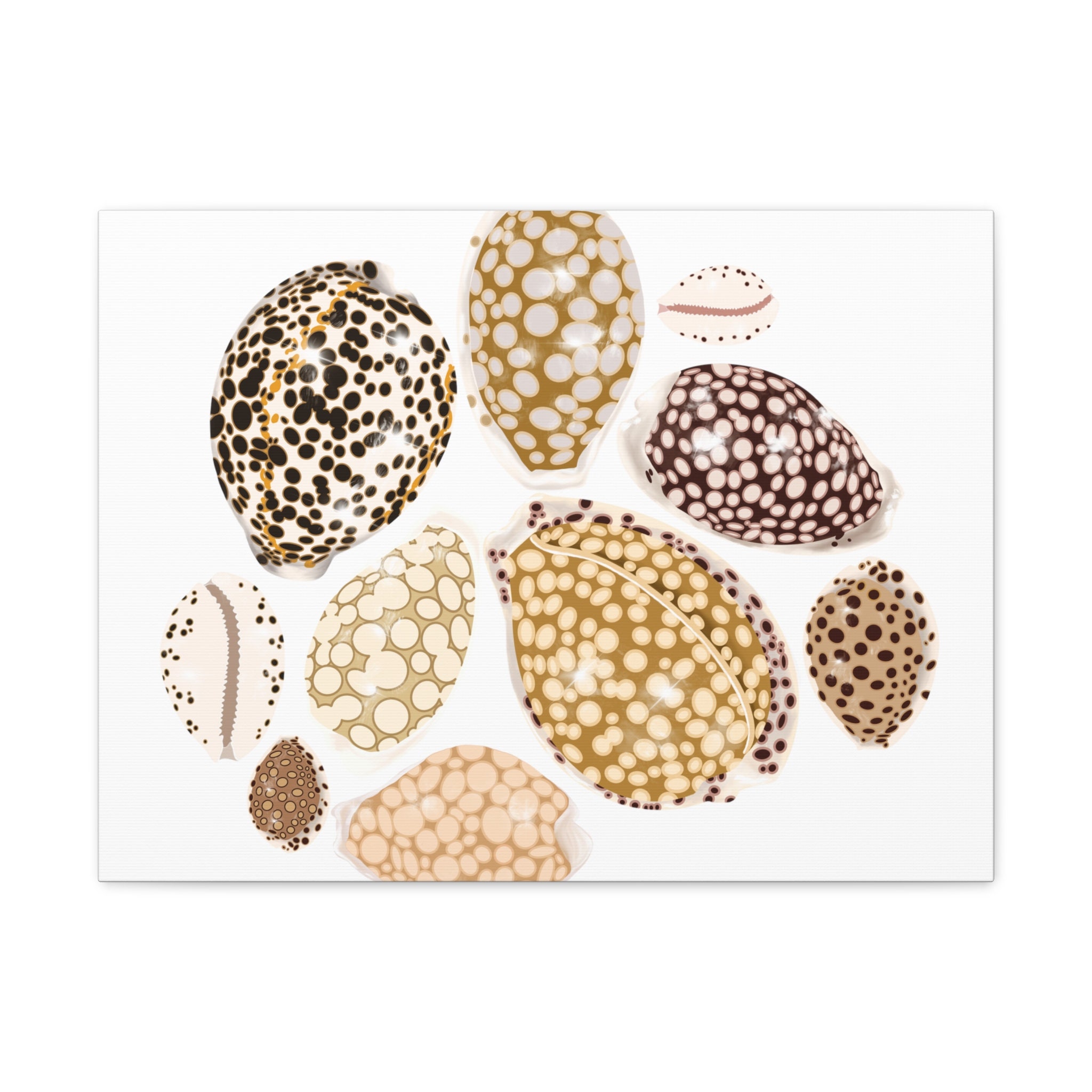 Canvas Gallery Wraps Cowrie Shells - Etsy