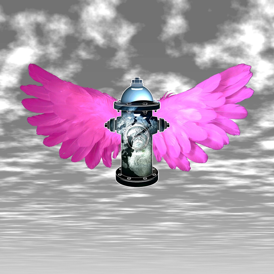 FCH-WNS-WHT-002 - Fire Hydrant | Fancycrazyhydrants | With Pink Wings ...