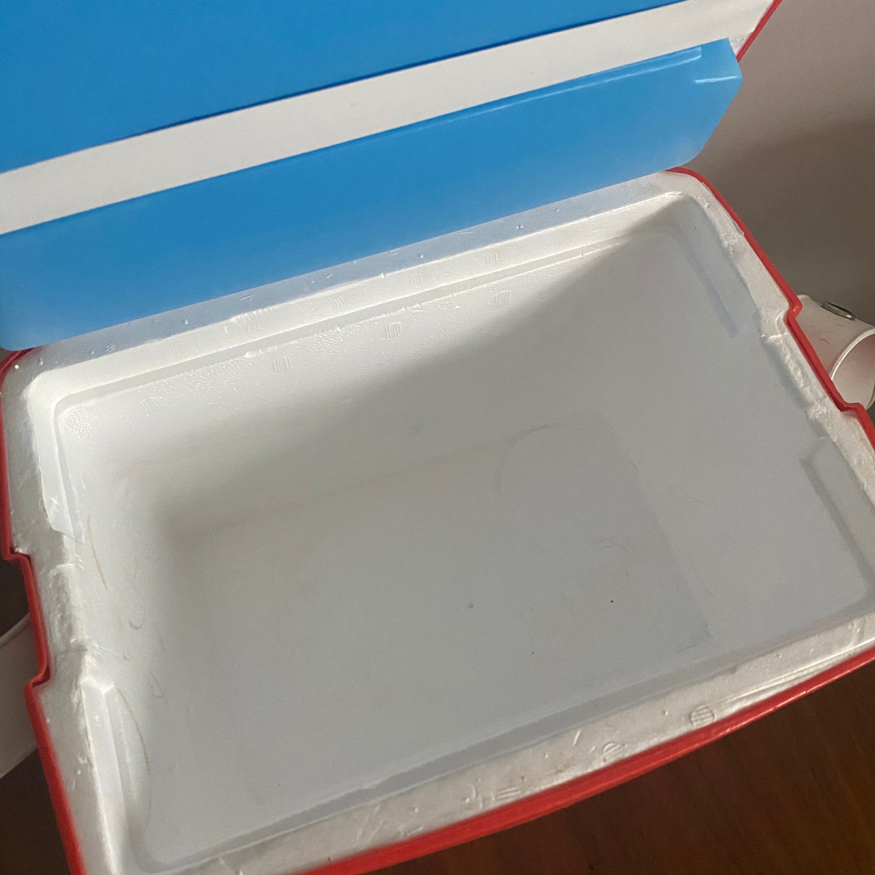 Vintage Gadabout by Neevel Insulated Cooler - Etsy