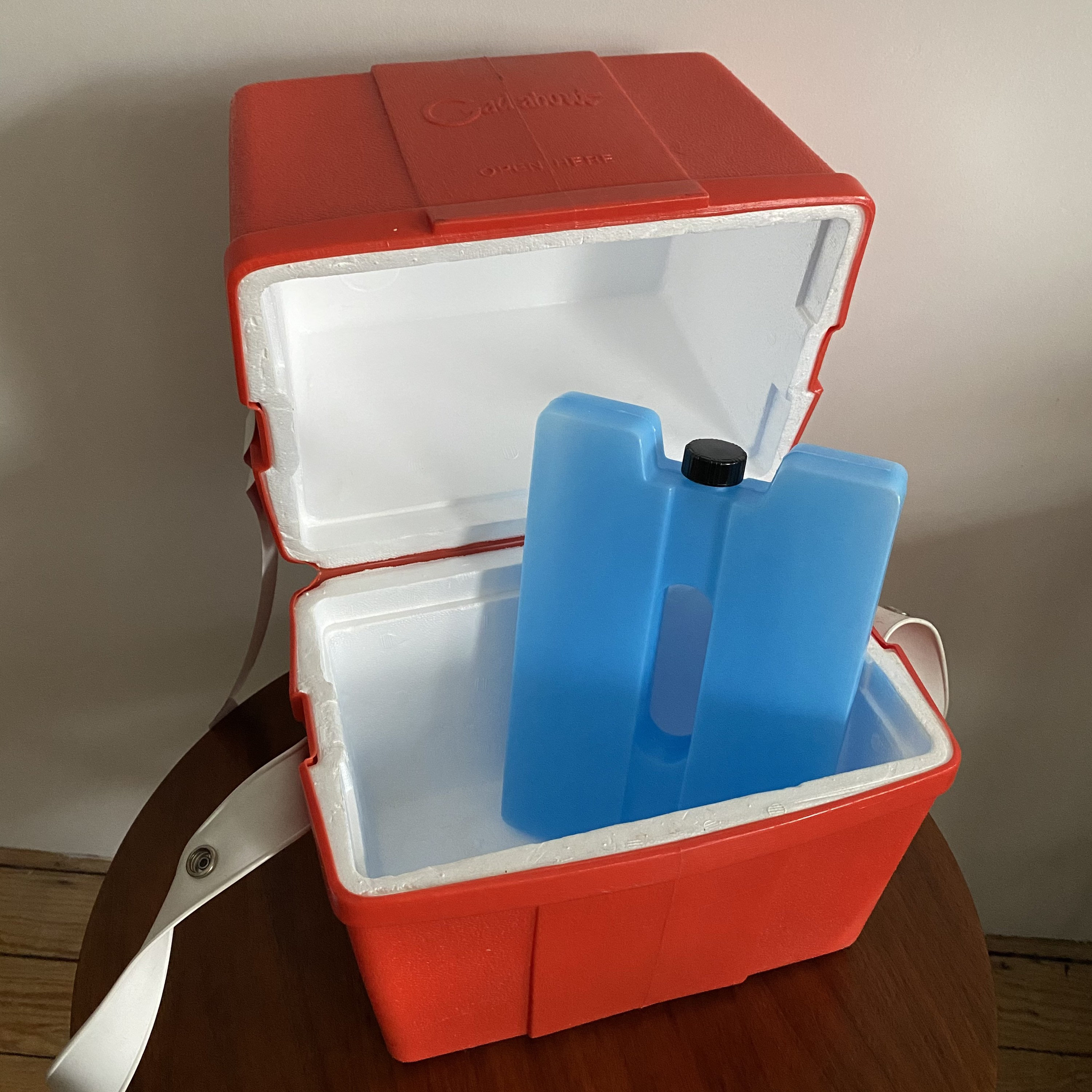 Vintage Gadabout by Neevel Insulated Cooler - Etsy