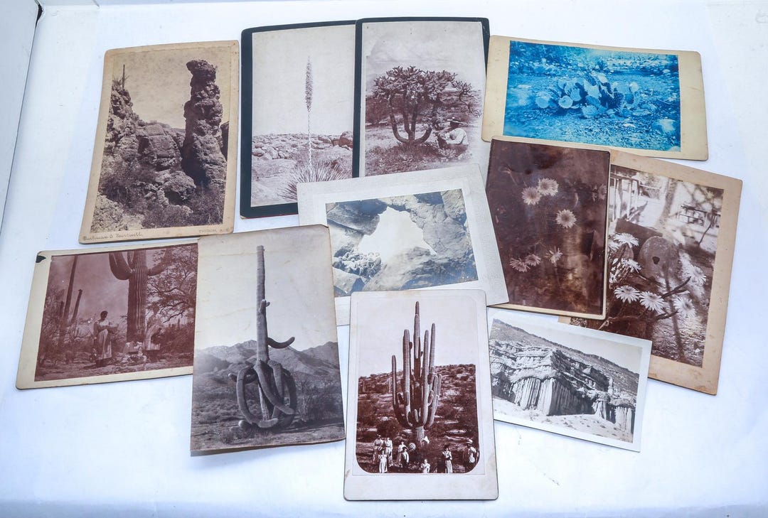 Antique Group of Early Arizona Photographs - Etsy