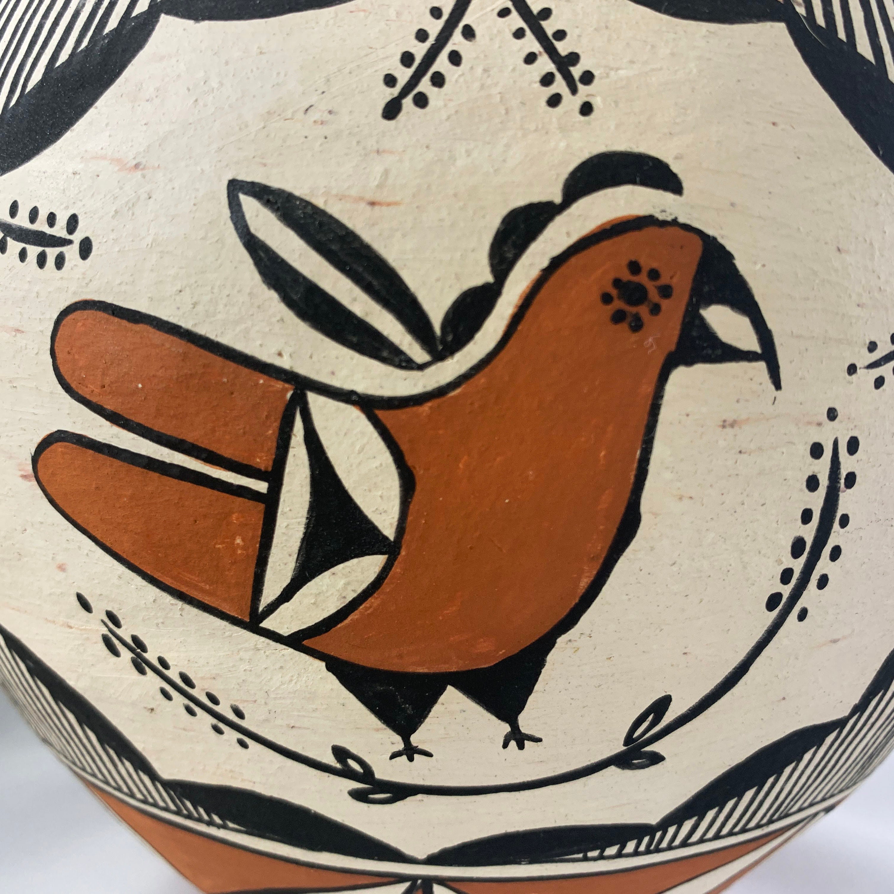 Southwestern Acoma Pueblo Polychrome Olla Parrot Jar - Etsy