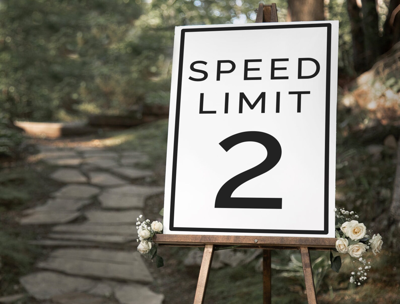 Speed Limit Sign Editable Template Two Fast Two Curious - Etsy