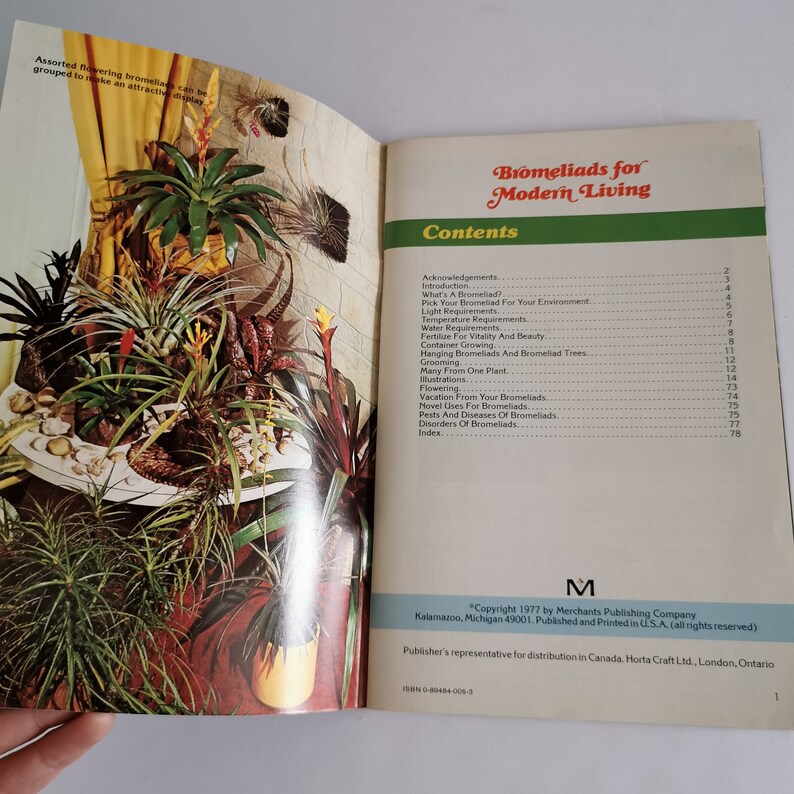 1977 Bromeliads for Modern Living, Vintage Home Plants Guide MCM Retro ...