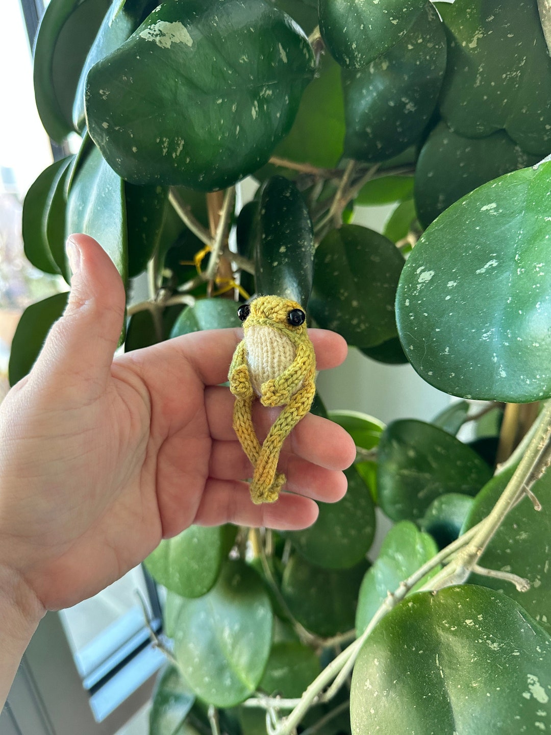 Micro Froggy Lemongrass - Etsy