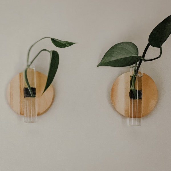 Propagation Station - Etsy