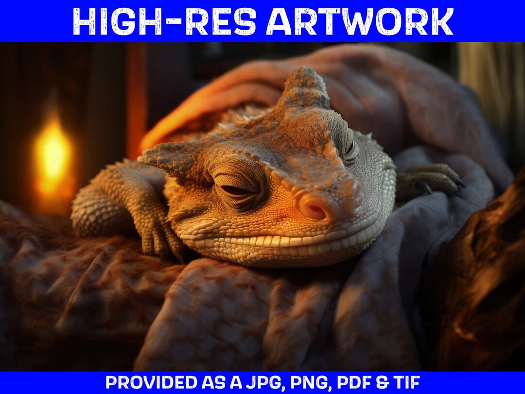 Pet Lizard Fireside Cuddle Heartwarming Imaginative Image in - Etsy