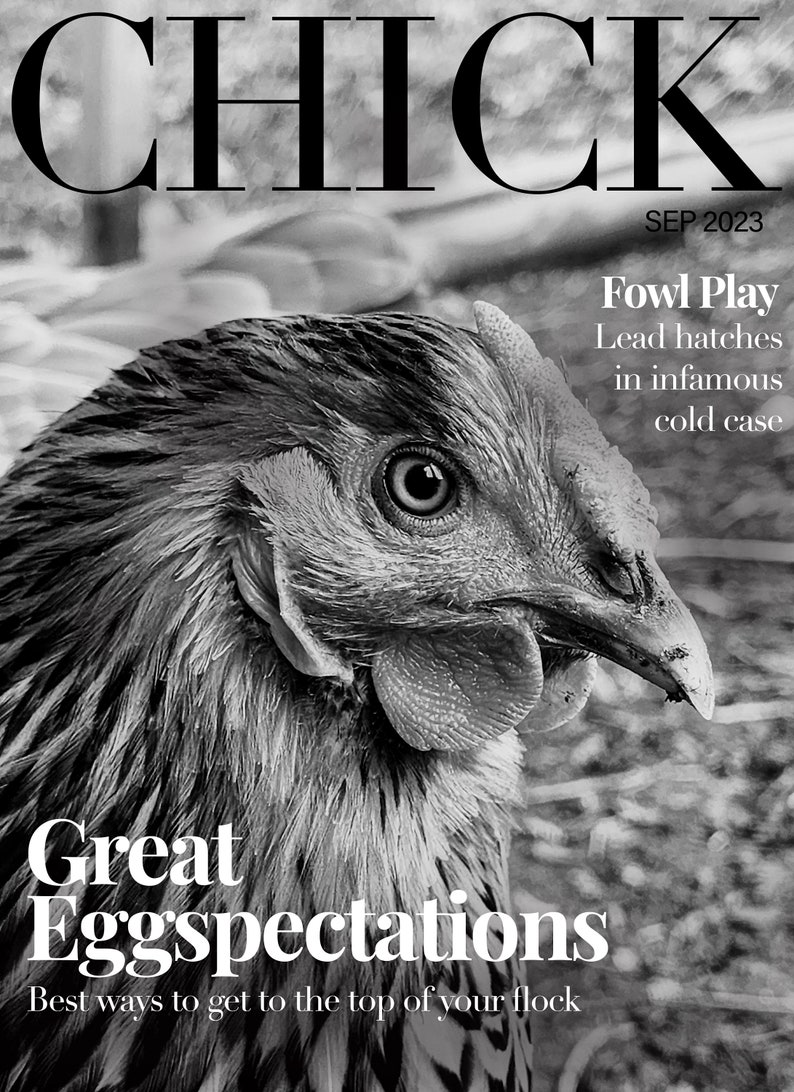 Custom Animal Magazine Cover for Your Pet - Etsy