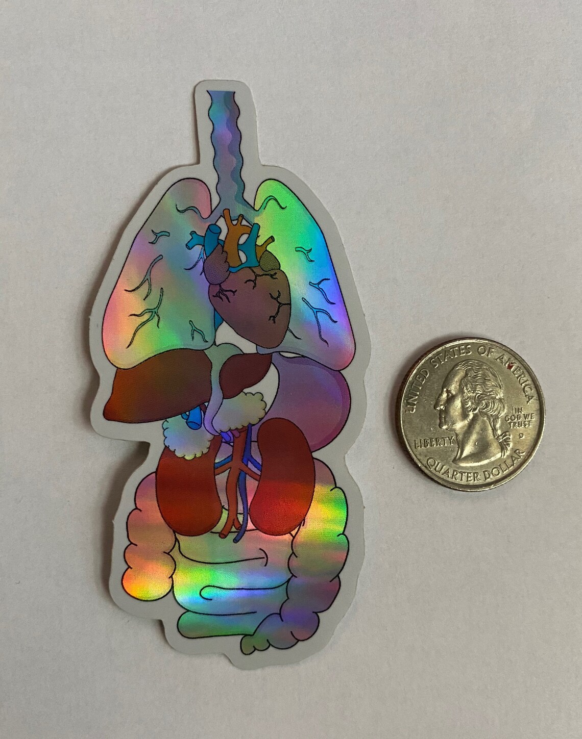 Mirror Human Organs Vinyl Sticker | Etsy