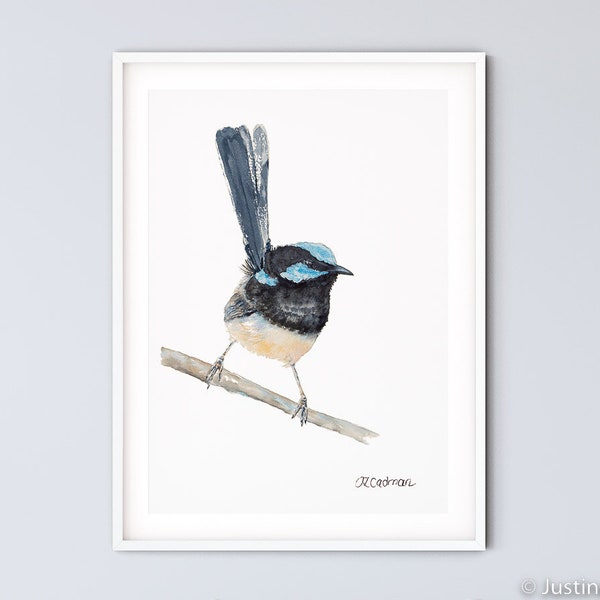 Blue Wren - Etsy Australia