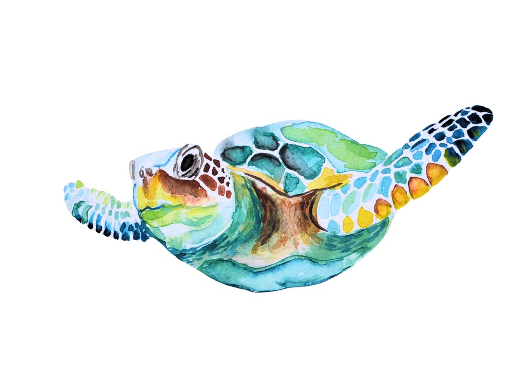 Turtle Watercolour (digital Download) - Etsy
