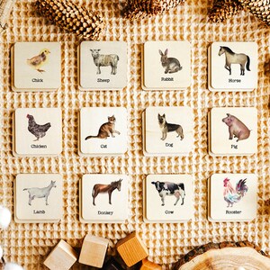 Learning & School Toys Toys & Games Farm Animals Color Memory Game 24 ...