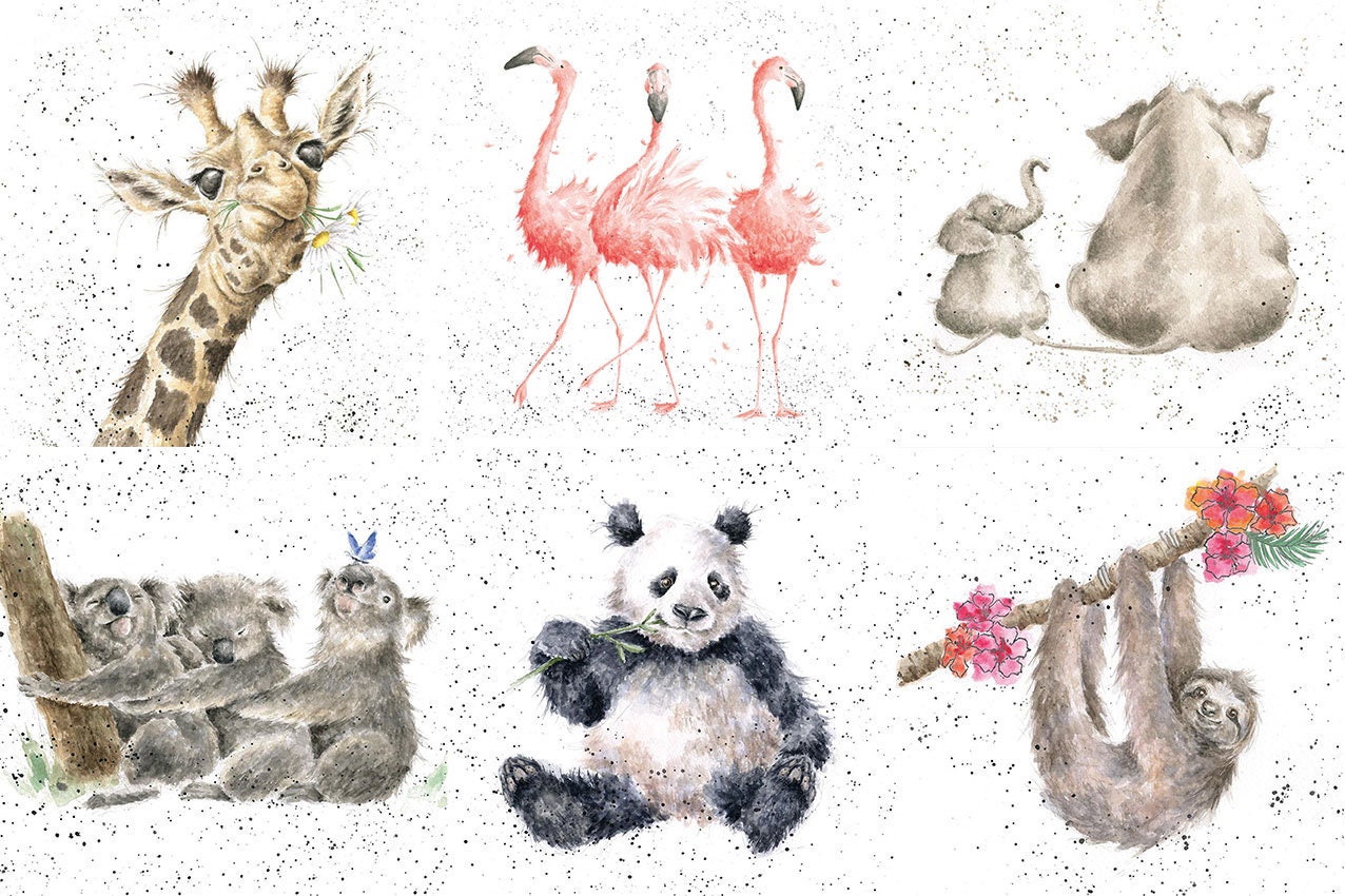 Flying Duck Mallard Country Photo Frame Picture Animal British - Etsy UK