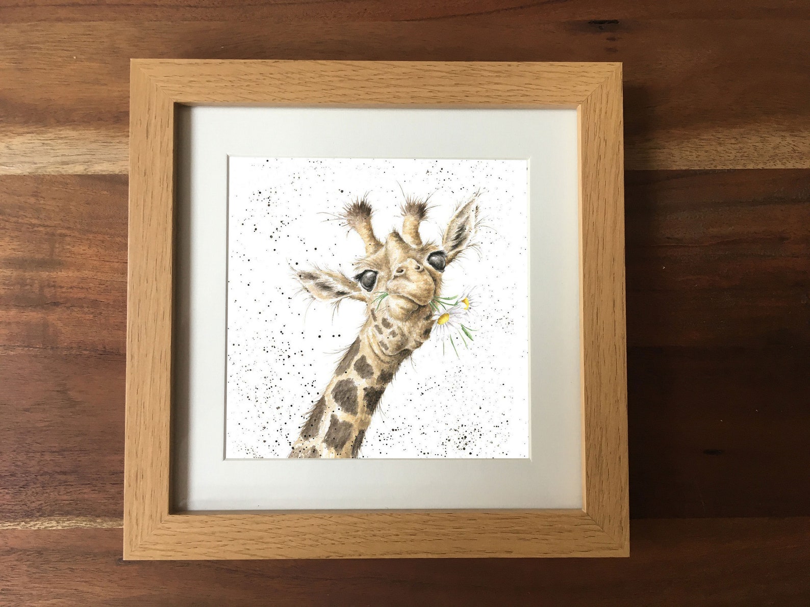 Giraffe Baby Country Photo Frame Picture Animal British Wildlife Print ...