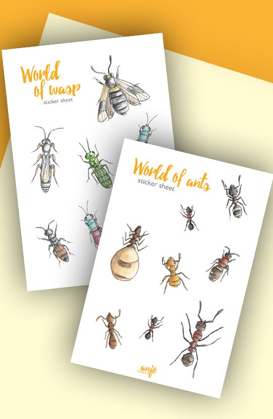 Paper sticker bundle entomology taxonomy insect chart as planner ...