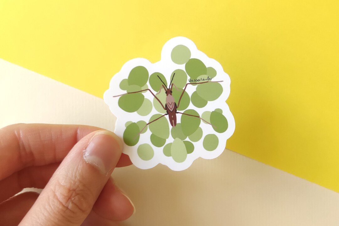 Sticker With Water Strider, Sticker With Bug and Duckweed - Stickers ...