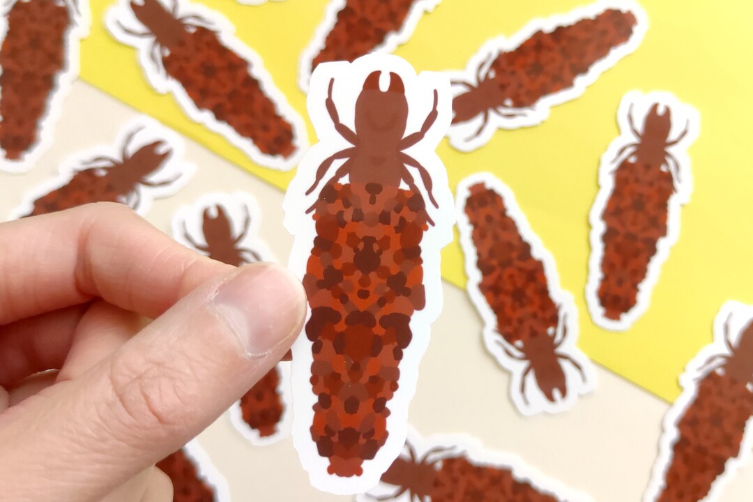 Sticker With Aquatic Insect, Caddis Fly Larva Water Insects Insect ...