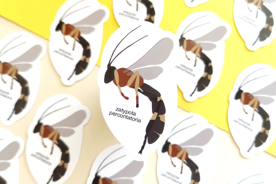 Parasitic Wasp Sticker, Insect Vinyl Sticker, Zatypota Percontatoria - Etsy