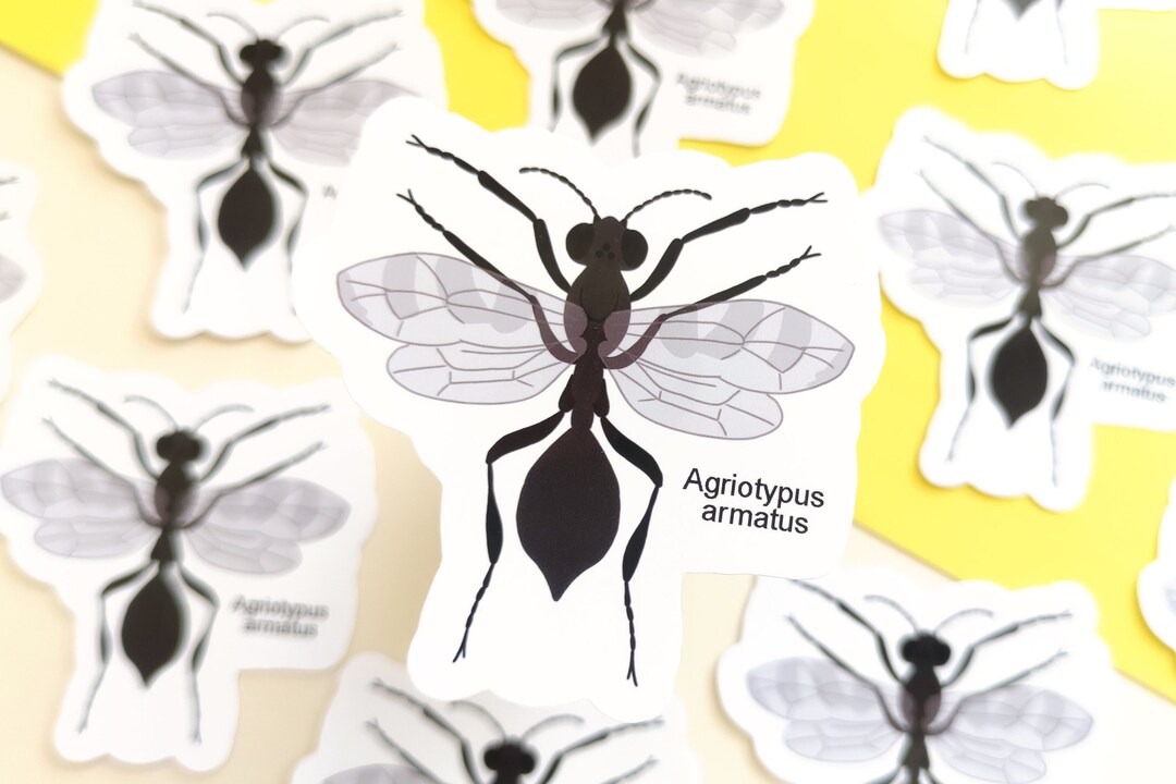 Parasitic Wasp Sticker, Insect Vinyl Sticker, Agriotypus Armatus - Etsy