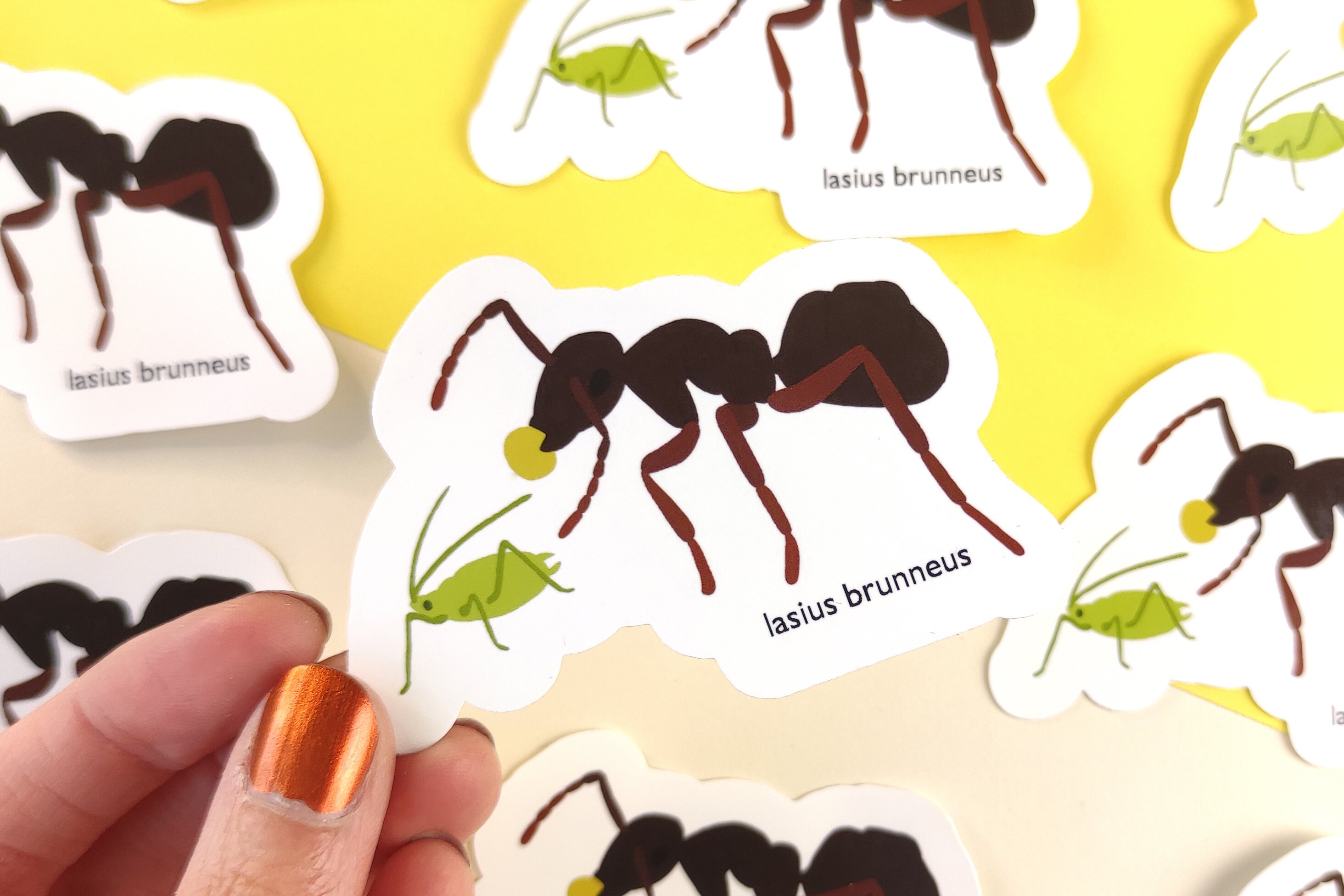 Black Ant and Aphid Sticker Insect Vinyl Sticker for Ant - Etsy