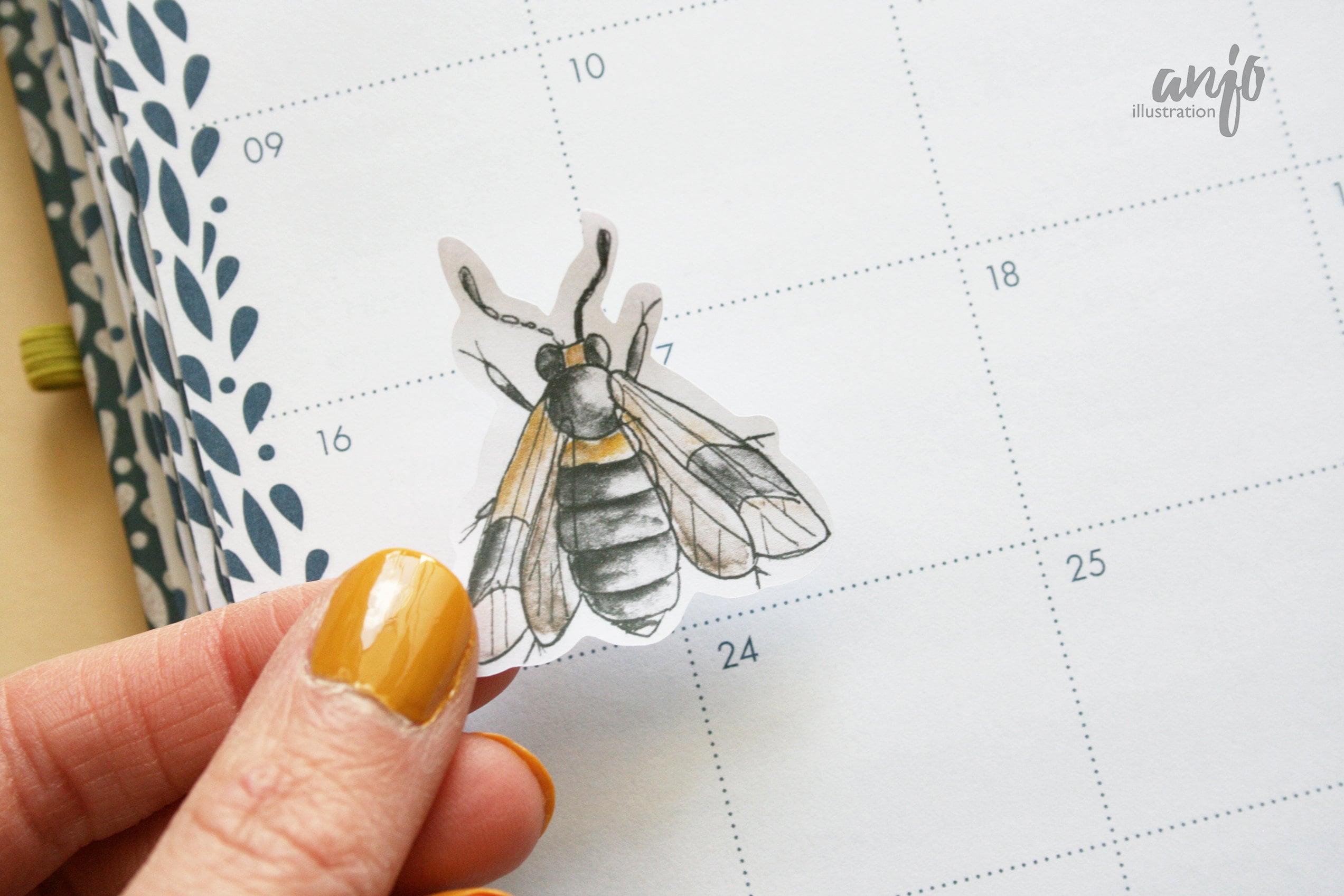 Paper sticker bundle entomology taxonomy insect chart as planner ...