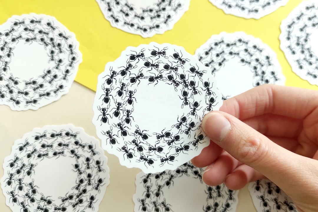 Stickers With Ants for Insect Nerd Ants Stickers Vinyl - Etsy