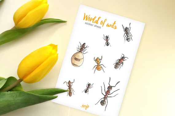 Paper sticker bundle entomology taxonomy insect chart as planner ...