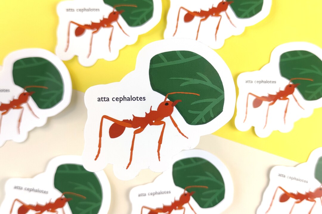 Leafcutter Ant and Leaf, Insect Vinyl Sticker for Ant Lover - Etsy