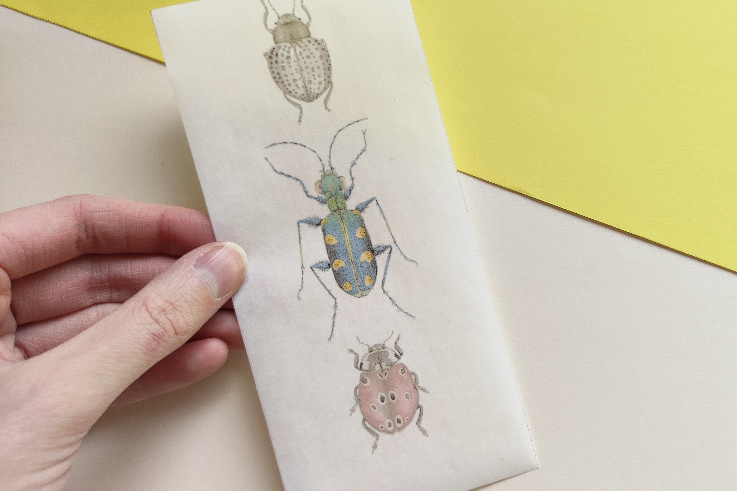 Insect Scrapbook Paper Self Adhesive Collage Paper With | Etsy