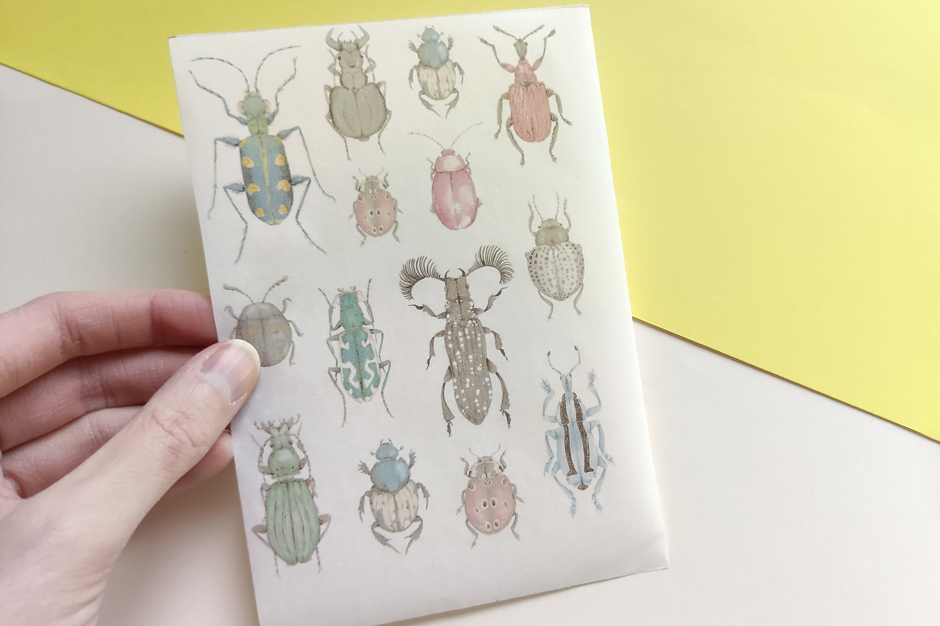 Insect Scrapbook Paper Self Adhesive Collage Paper With | Etsy