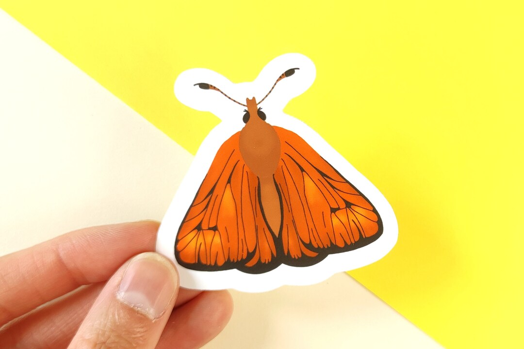 Butterfly Sticker, Maroon Moth Sticker, Brown Moth Vinyl Sticker - Etsy