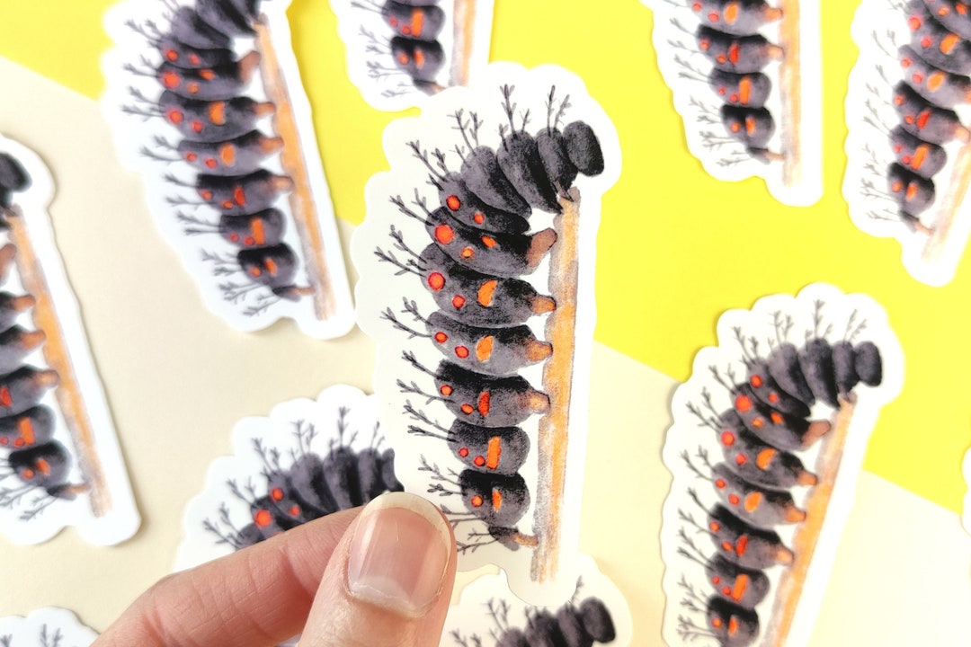 Caterpillar Sticker, Laptop Sticker With Butterfly Caterpillar, Vinyl ...
