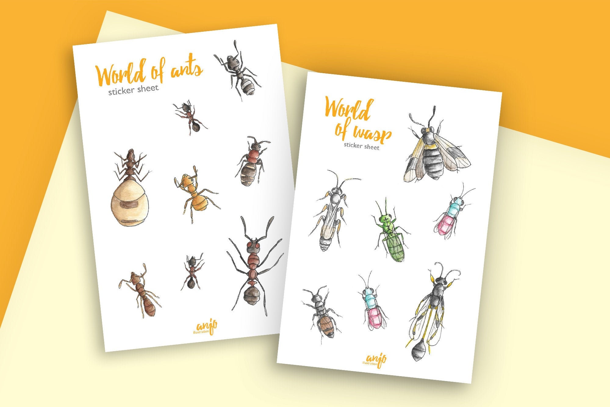 Paper sticker bundle entomology taxonomy insect chart as planner ...