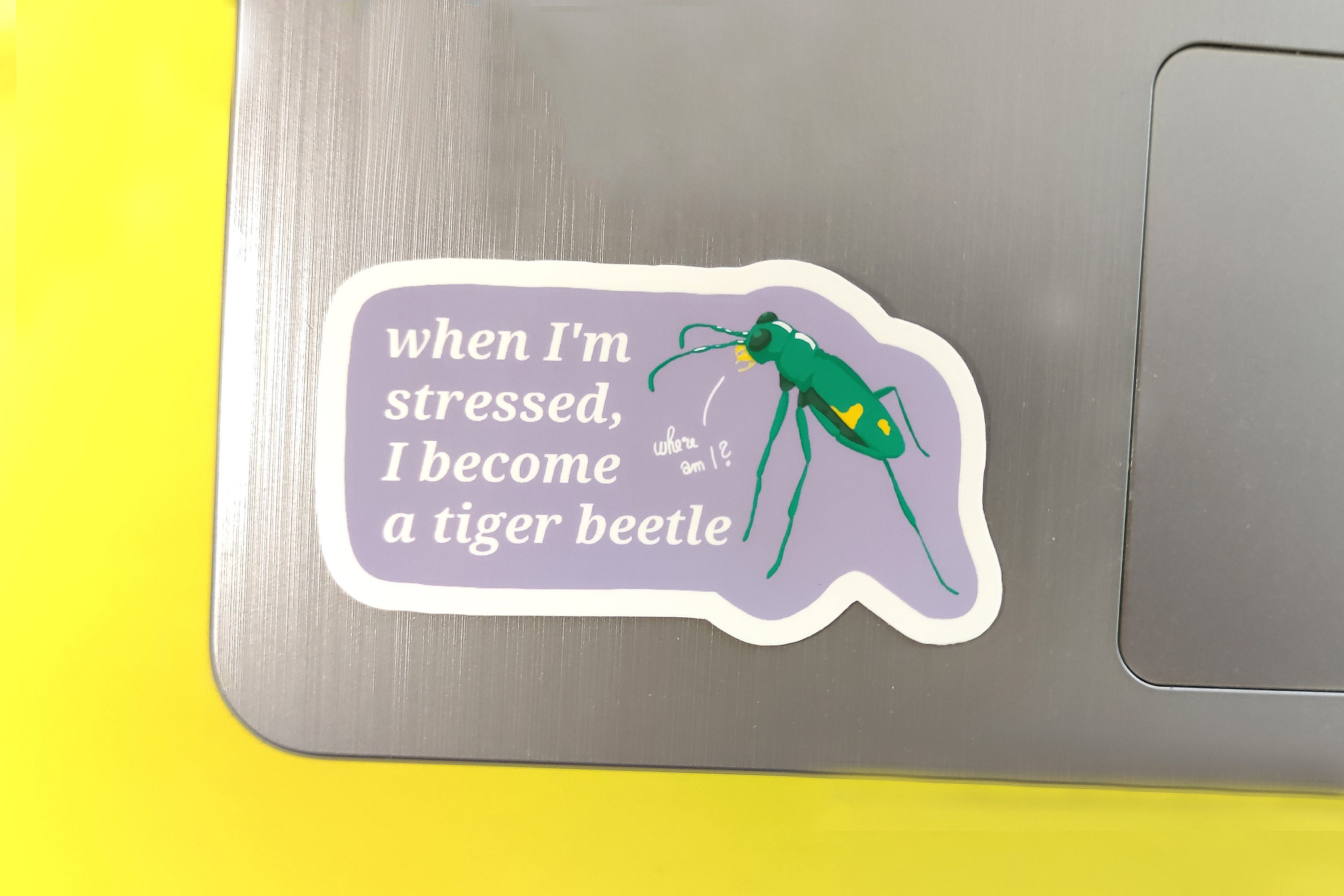 Sticker mit Käfer und lustigem Spruch für Insekten Nerds | Etsy