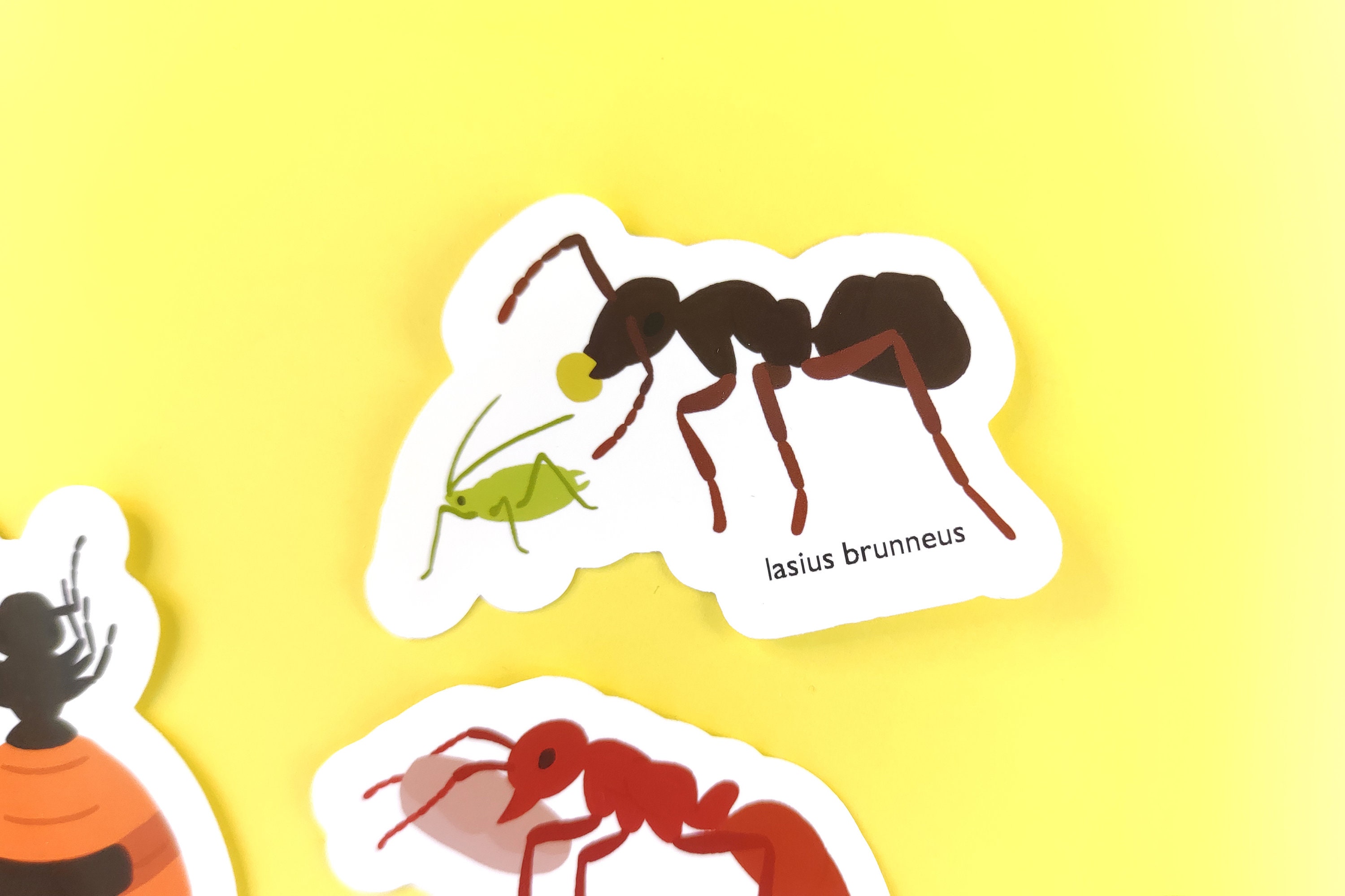Black Ant and Aphid Sticker Insect Vinyl Sticker for Ant - Etsy