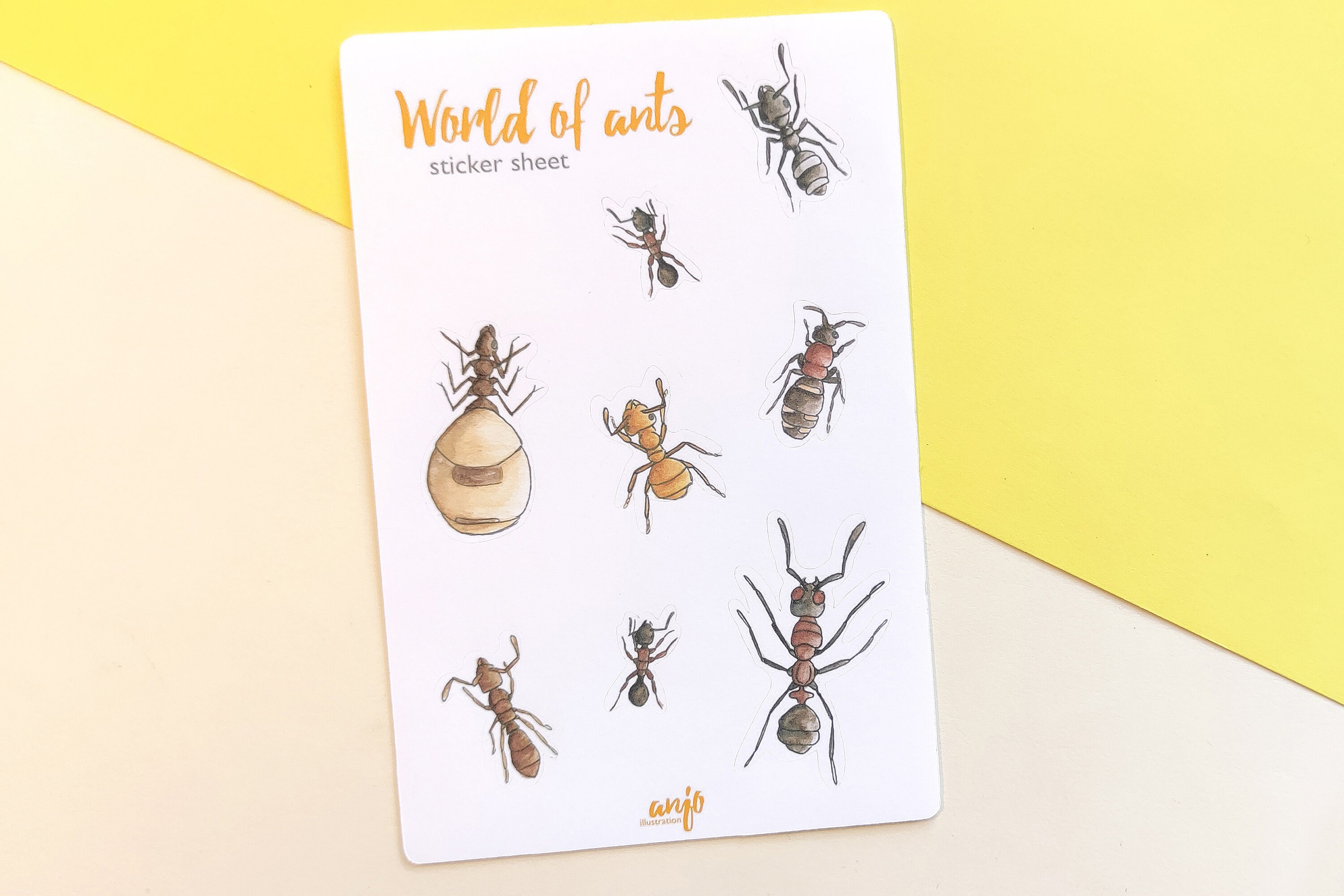 Paper sticker bundle entomology taxonomy insect chart as planner ...