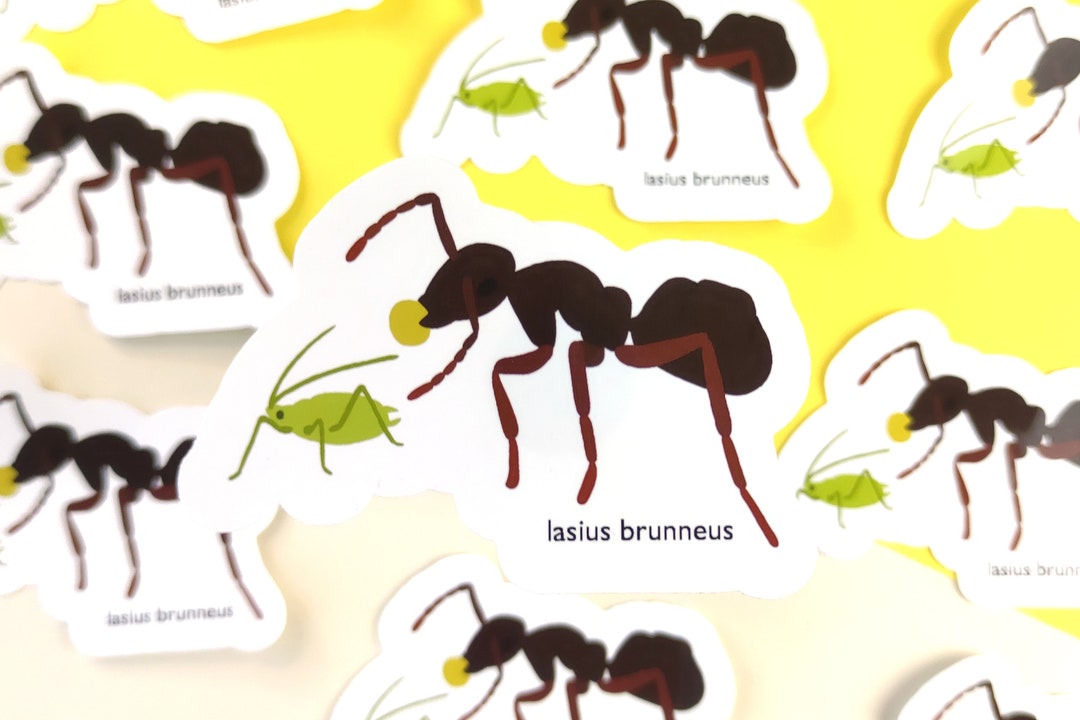 Black Ant and Aphid Sticker, Insect Vinyl Sticker for Ant Lover - Etsy