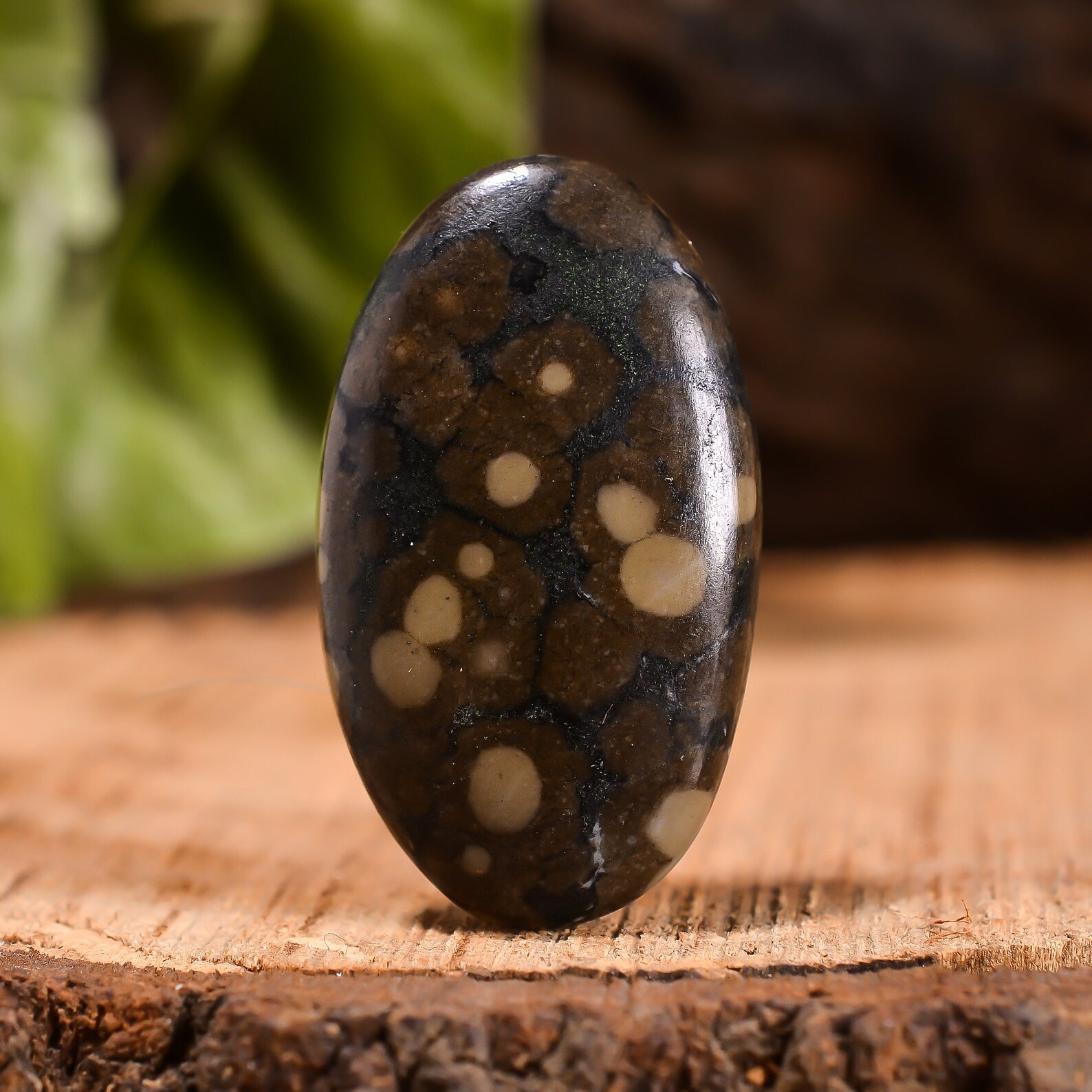 38Cts Natural Scapolite In Mica Cabochon Scapolite Oval Shape | Etsy