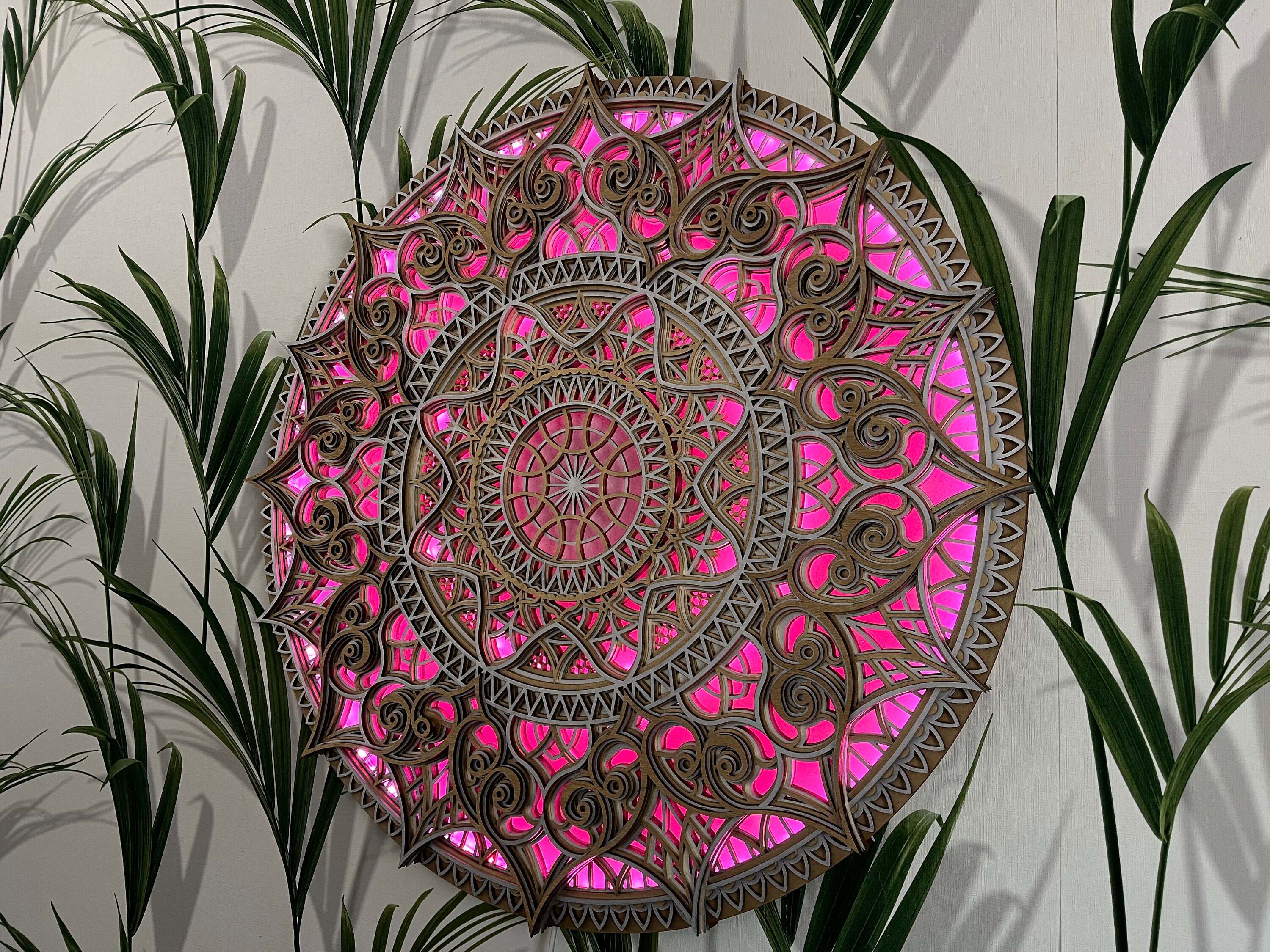 Sacred Geometry In Plants